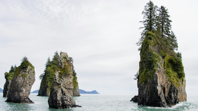 Resurrection Bay Guide | Alaska Shore Excursions