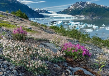 Best Anchorage Tours & Excursions | Alaska Shore Excursions