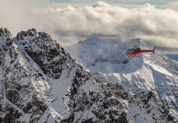 Best Denali Tours & Excursions | Alaska Shore Excursions