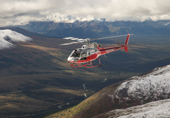 Best Denali Tours & Excursions | Alaska Shore Excursions
