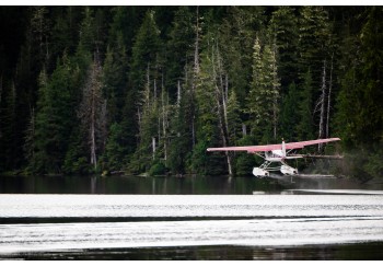 Best Ketchikan Excursions & Tours | Alaska Shore Excursions