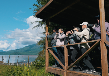 Ketchikan Bear & Wildlife Tours | Alaska Shore Excursions | Alaska ...