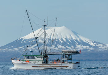 Best Sitka Excursions & Tours | Alaska Shore Excursions