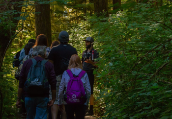 Best Ketchikan Excursions & Tours | Alaska Shore Excursions