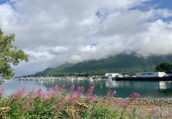 Best Sitka Excursions & Tours | Alaska Shore Excursions