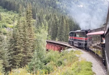 Alaska Train Tours | Alaska Shore Excursions