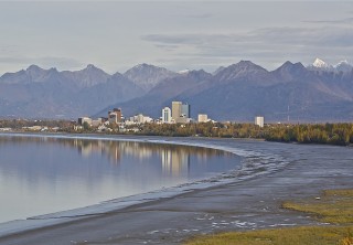 Best Anchorage Bear Viewing Tours | Alaska Shore Excursions