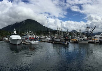 Best Sitka Excursions & Tours | Alaska Shore Excursions