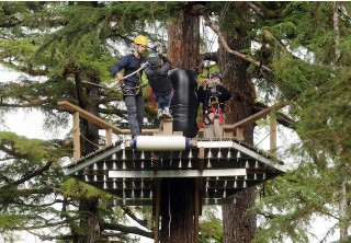 Best Ketchikan Excursions & Tours | Alaska Shore Excursions