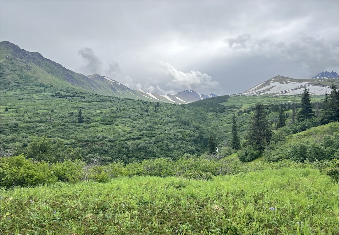 Anchorage Chugach State Park Nature Hike | Alaska Shore Excursions