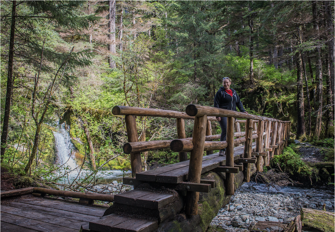 Sitka Alaskan Wilderness Trail Adventure Hike | Alaska Shore Excursions