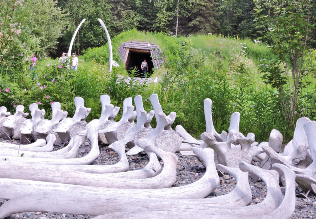 Anchorage Highlights & Indigenous Heritage Tour | Alaska Shore Excursions