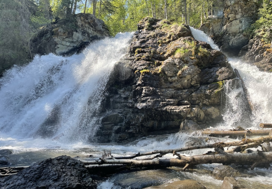 Anchorage Forest & Valley Hike | Alaska Shore Excursions