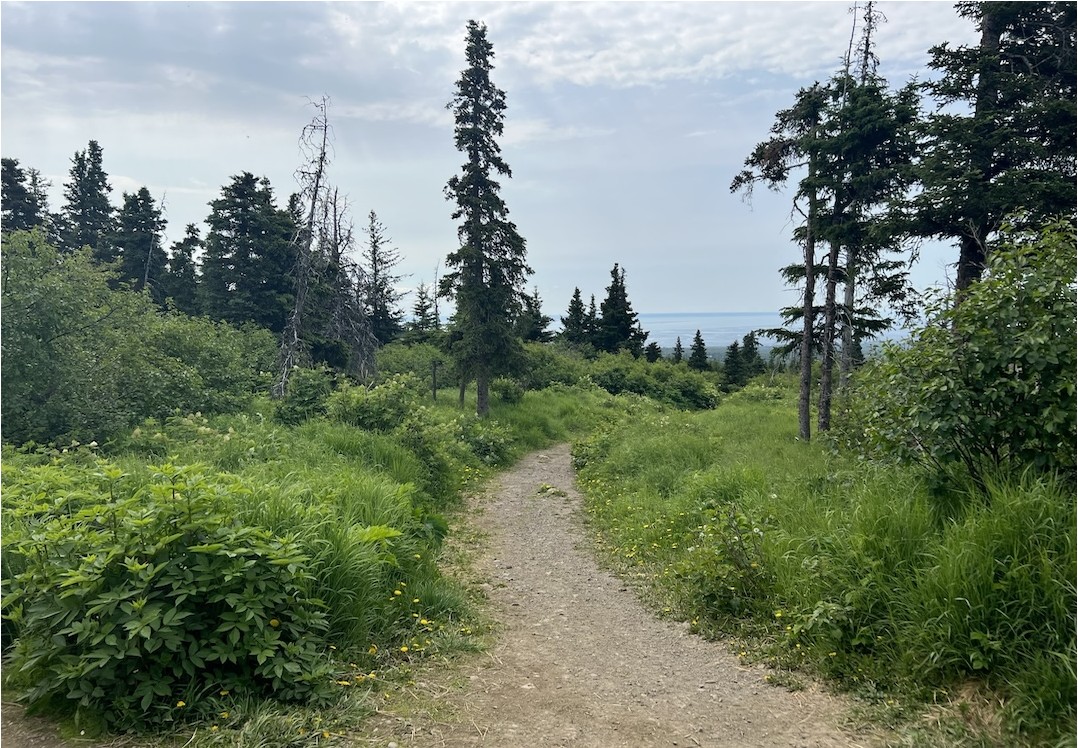 Anchorage Chugach State Park Nature Hike | Alaska Shore Excursions