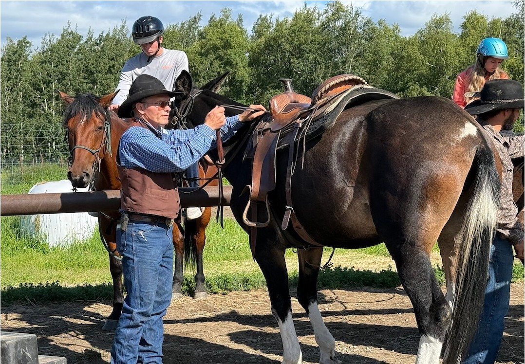 Anchorage Guided Horseback Trail Ride & Zipline Adventure | Alaska ...