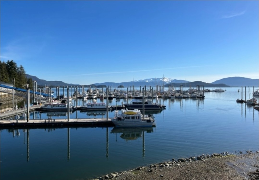 Whale Watching & Mendenhall Glacier Tour | Alaska Shore Excursions