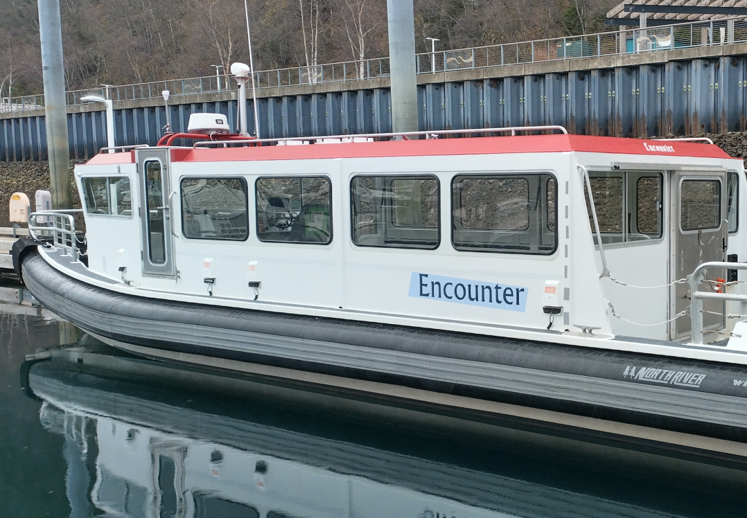 Skagway Waterfalls & Wildlife Boat Tour | Alaska Shore Excursions