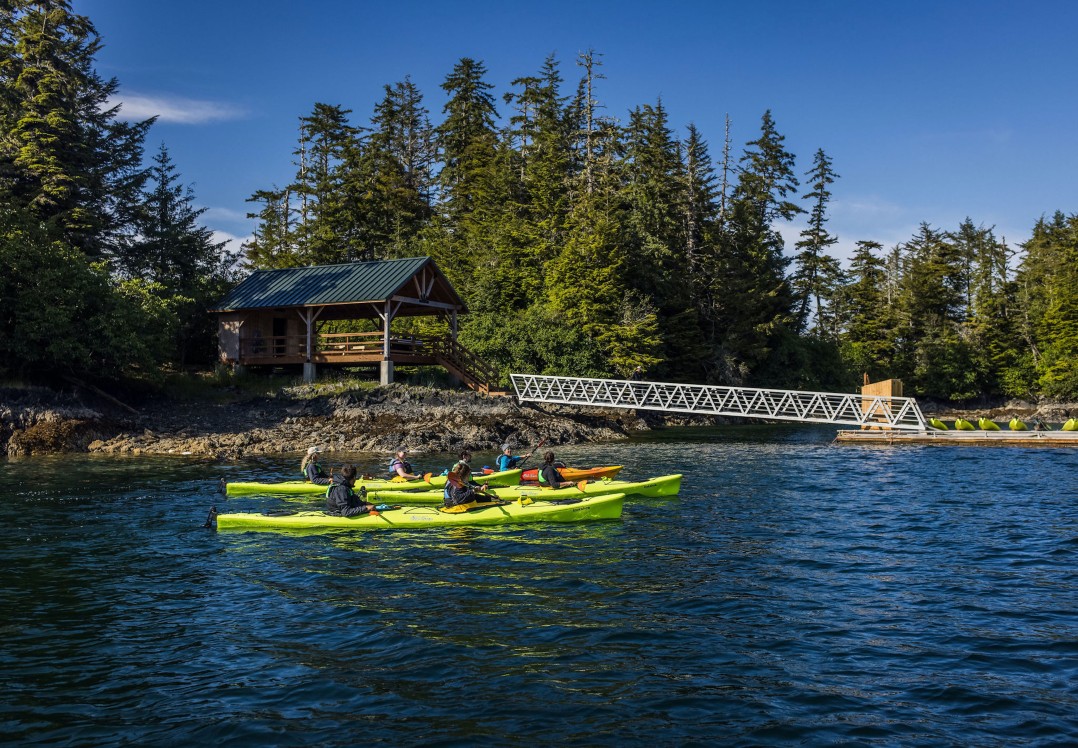 Sitka Island Cruise and Kayak Adventure | Alaska Shore Excursions