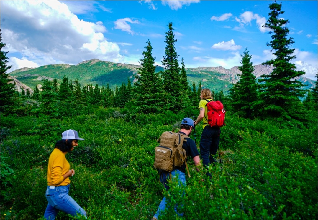 Denali Wilderness Wonders Guided Trek | Alaska Shore Excursions