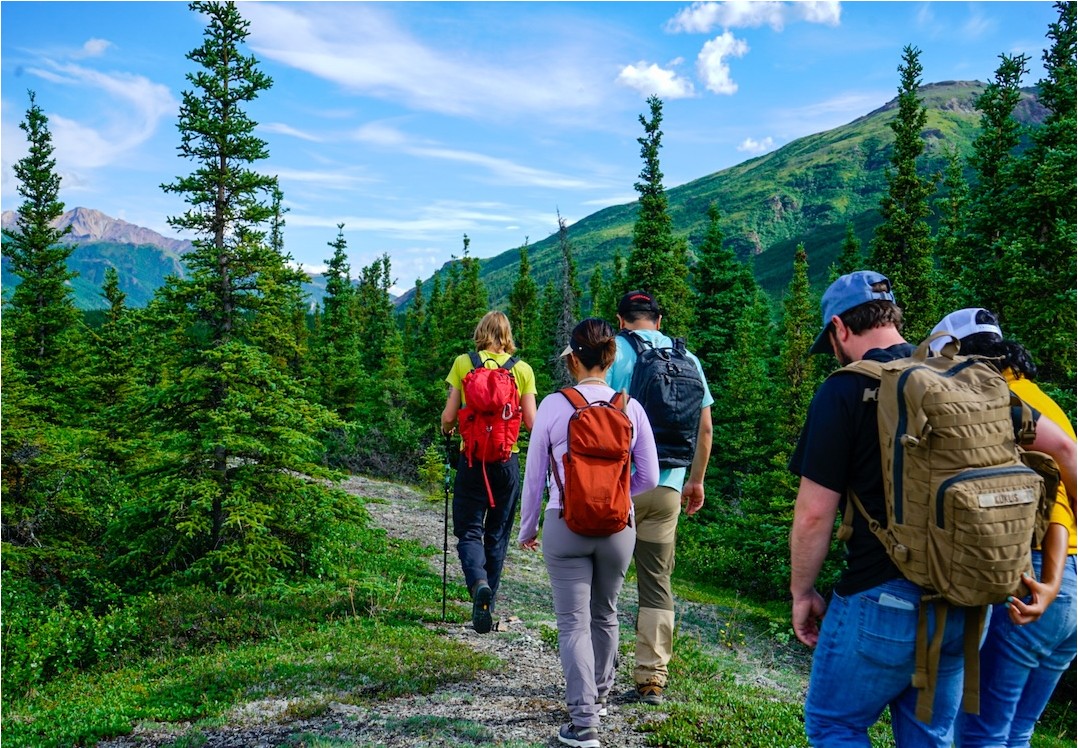 Denali Wilderness Wonders Guided Trek | Alaska Shore Excursions