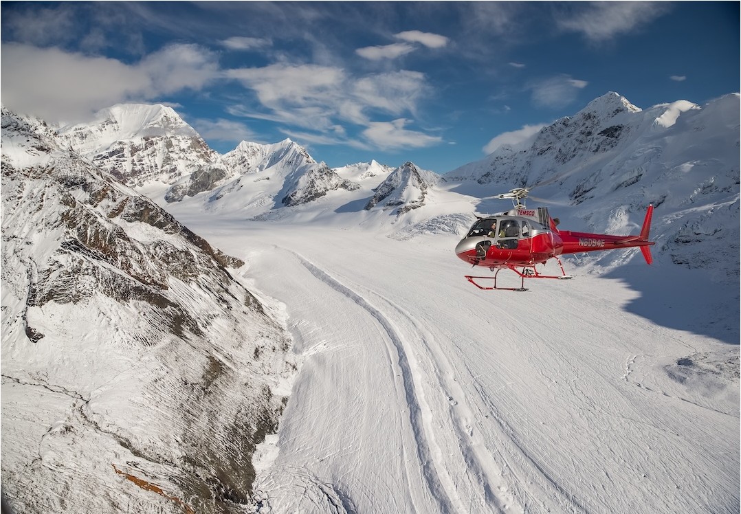 Denali Heli-Hike | Alaska Shore Excursions