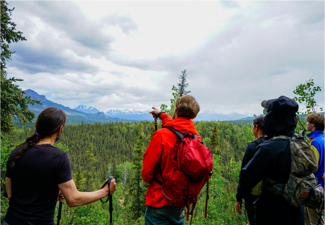 Denali Naturalist Guided Walking Tour | Alaska Shore Excursions