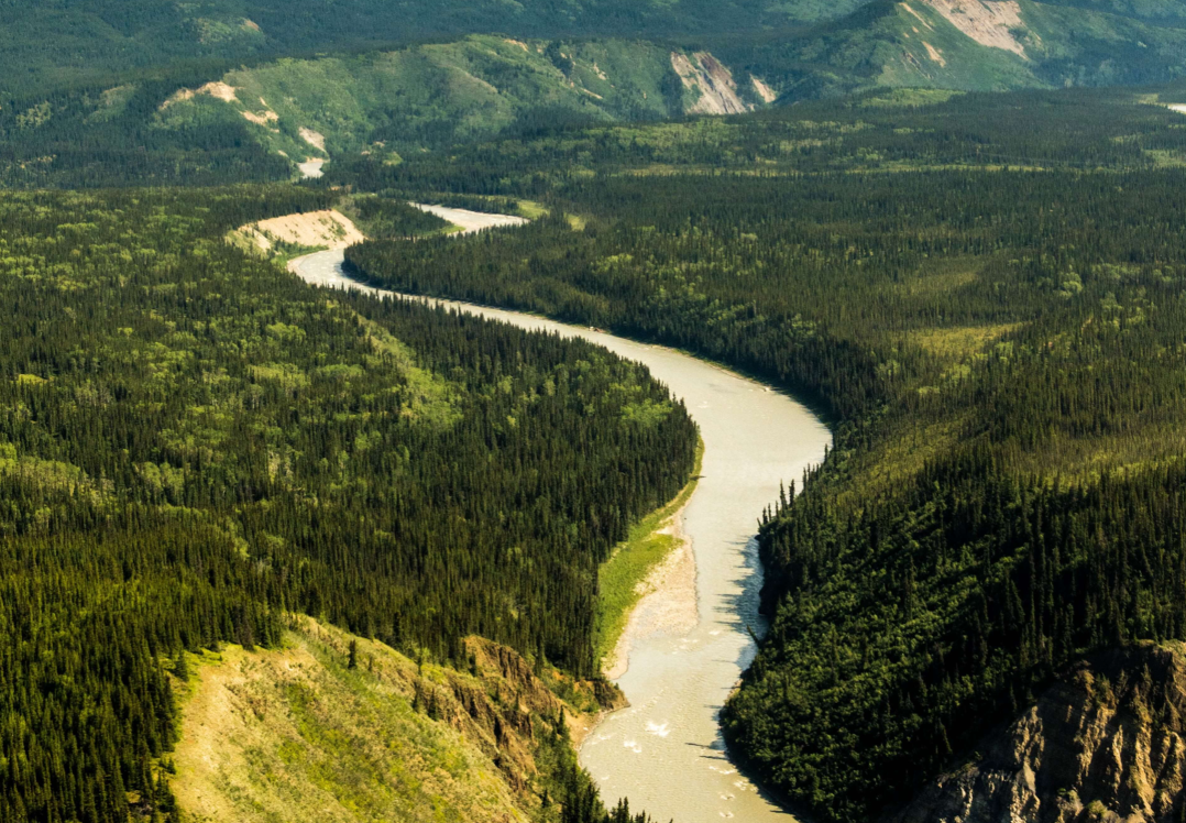 Denali Express Flightseeing Tour | Alaska Shore Excursions