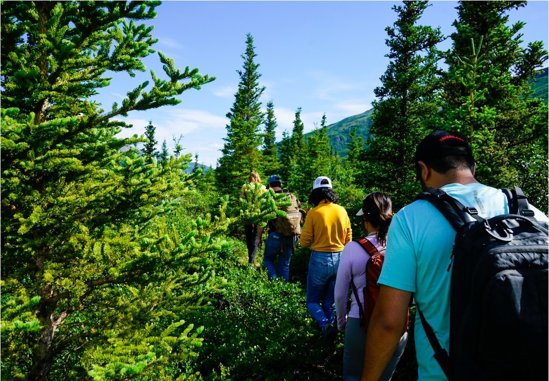 Denali Wilderness Wonders Guided Trek | Alaska Shore Excursions