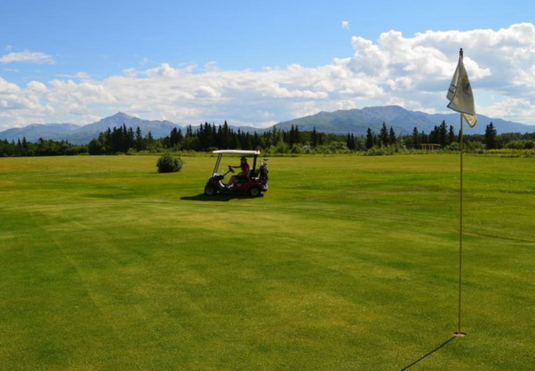 Denali Tundra Round of Golf | Alaska Shore Excursions
