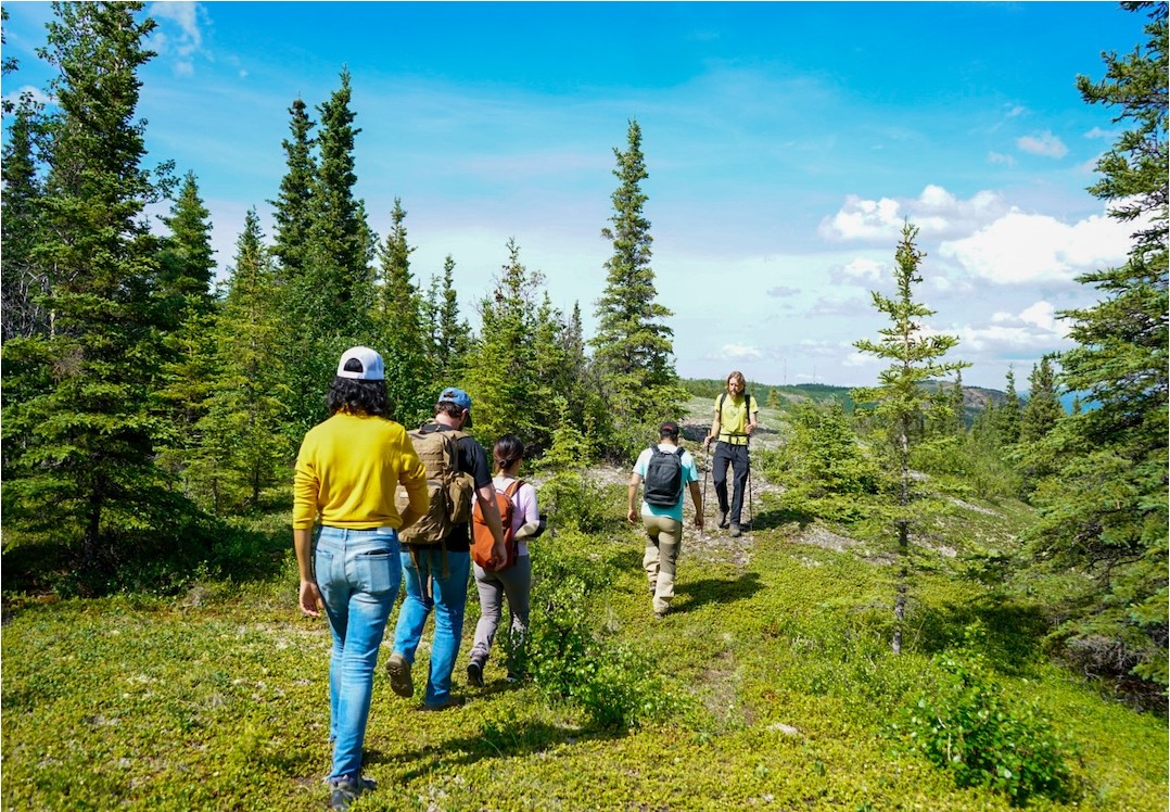 Denali Wilderness Wonders Guided Trek | Alaska Shore Excursions