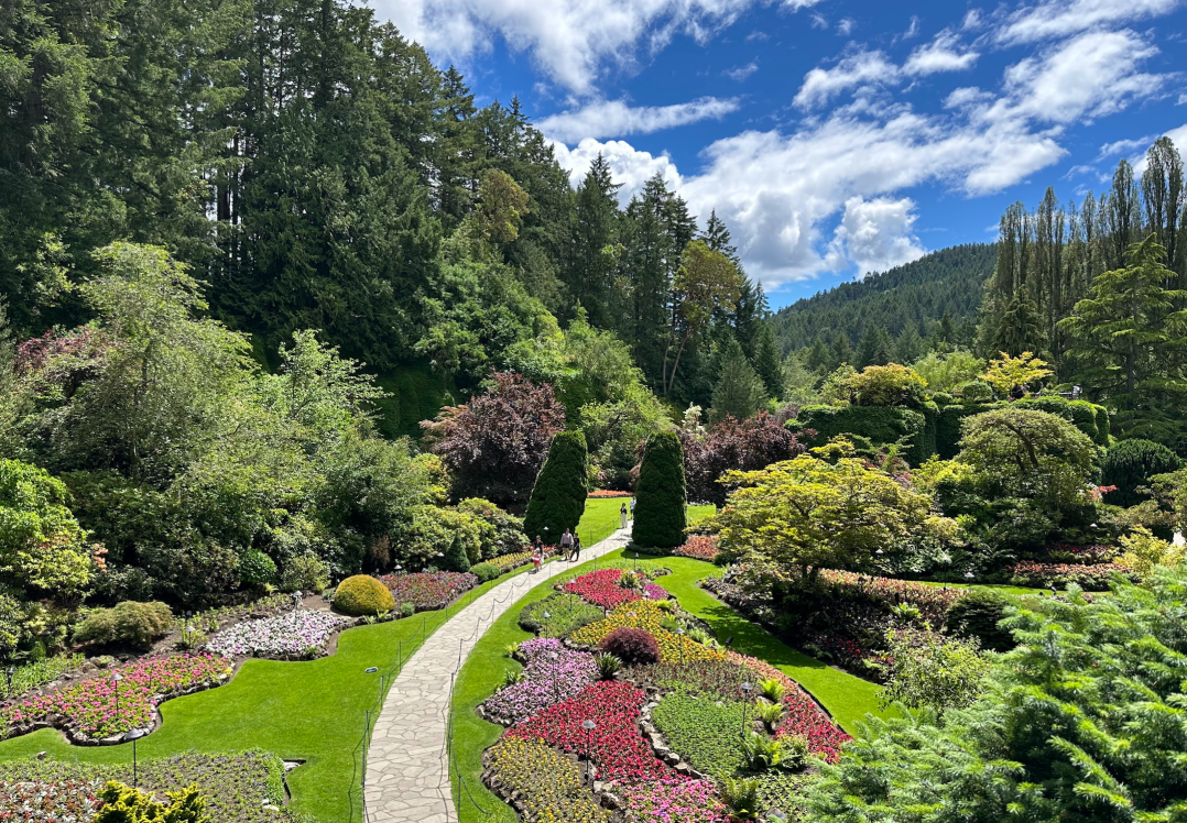 Roundtrip from Vancouver: Victoria Sightseeing & Butchart Gardens Tour ...