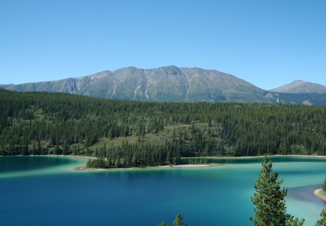 Skagway Yukon Discovery Adventure | Alaska Shore Excursions