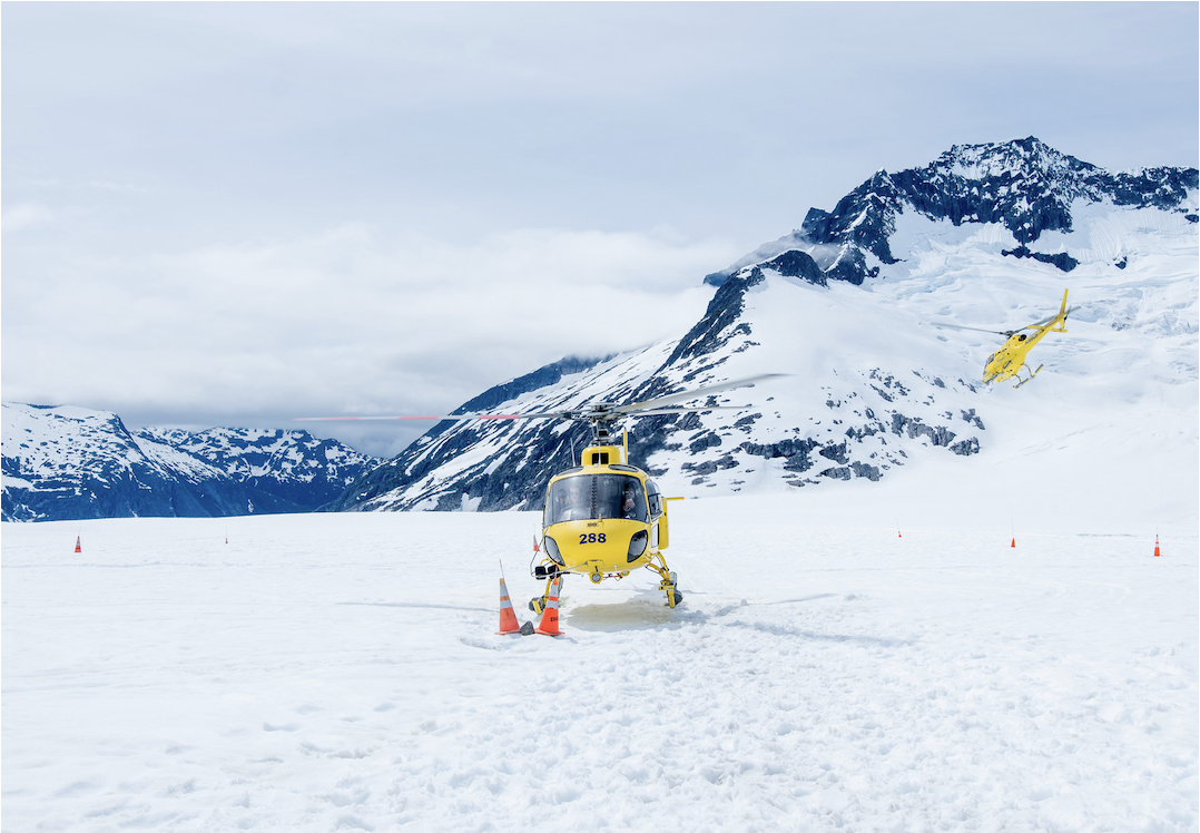 Juneau Glacier Dog Sledding & Helicopter Tour | Alaska Shore Excursions