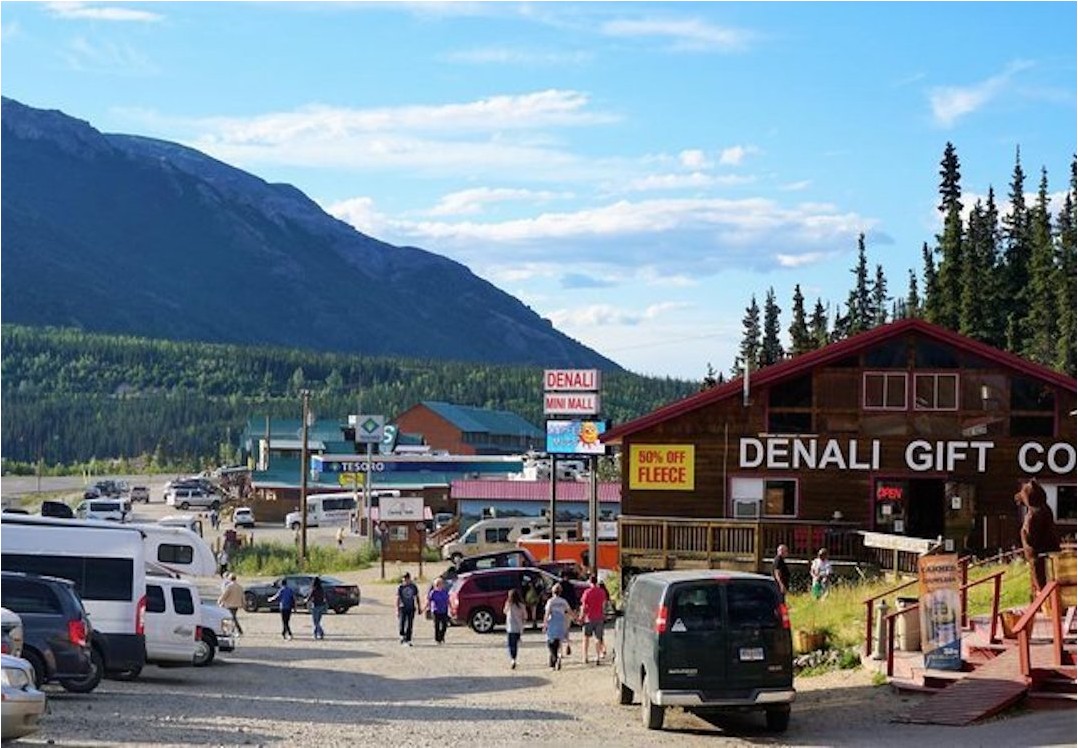Denali in a Day Sightseeing Package | Alaska Shore Excursions
