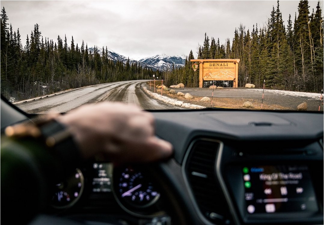Denali in a Day Sightseeing Package | Alaska Shore Excursions
