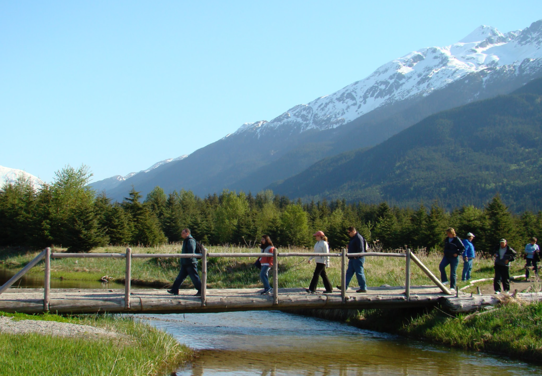 Skagway Musher's Camp and Sled Dog Adventure | Same Day | Alaska Shore ...