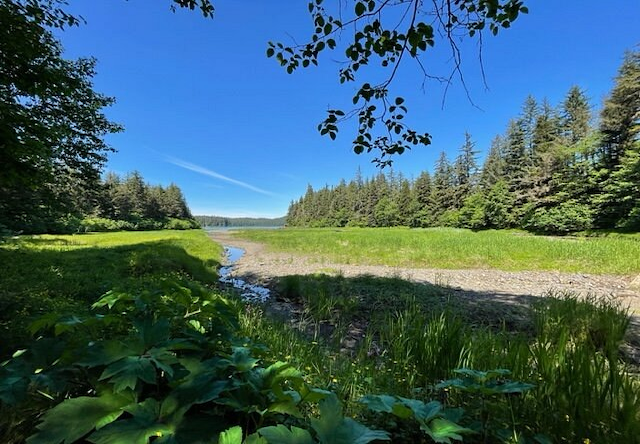 Icy Strait Wilderness island Tour | Alaska Shore Excursions