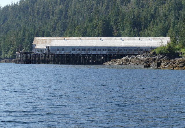 Ketchikan Wilderness Zodiac Quest | Alaska Shore Excursions