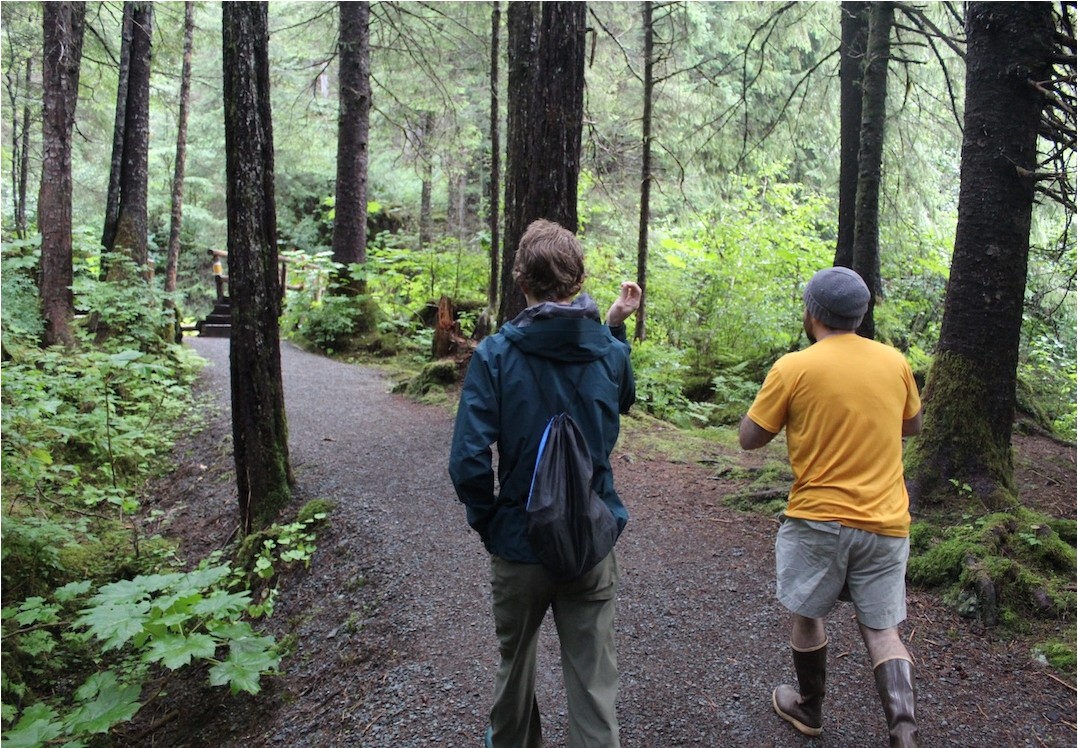 Sitka Tongass National Forest Guided Hike | Alaska Shore Excursions