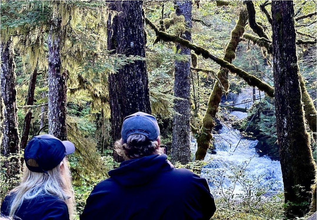 Ketchikan Rainforest Hike & Totem Park | Alaska Shore Excursions