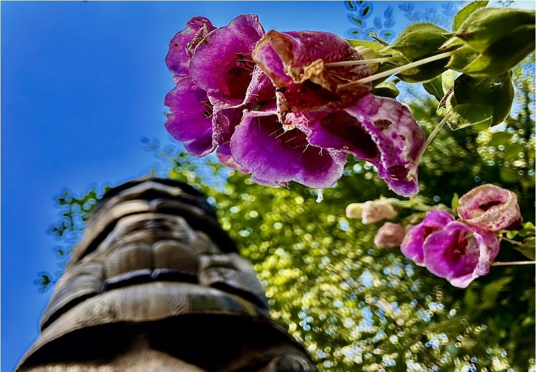 Ketchikan Rainforest Hike & Totem Park | Alaska Shore Excursions