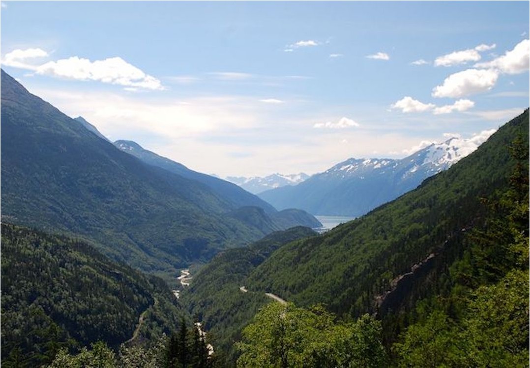 Skagway Tongass Rainforest Hike | Alaska Shore Excursions