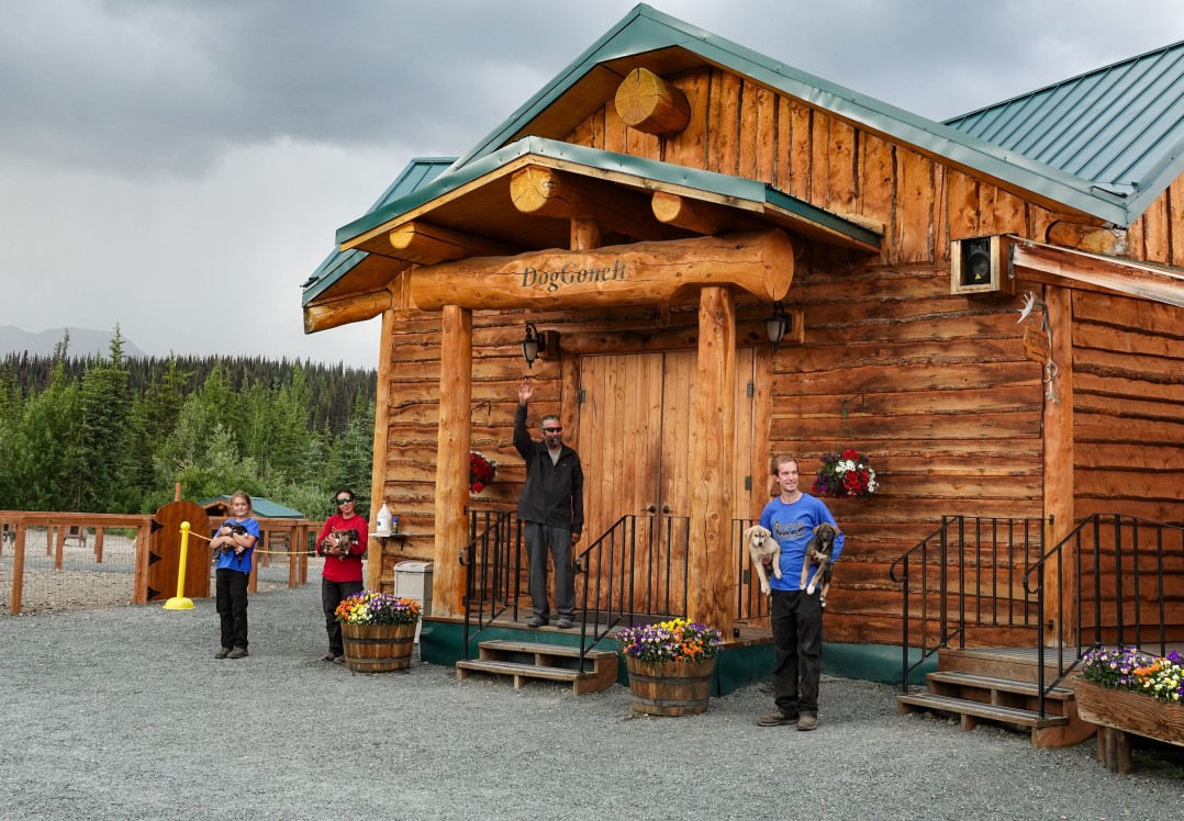 Denali Iditarod Sled Dog Adventure | Alaska Shore Excursions