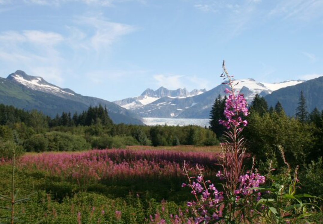 Juneau City Tour | Alaska Shore Excursions