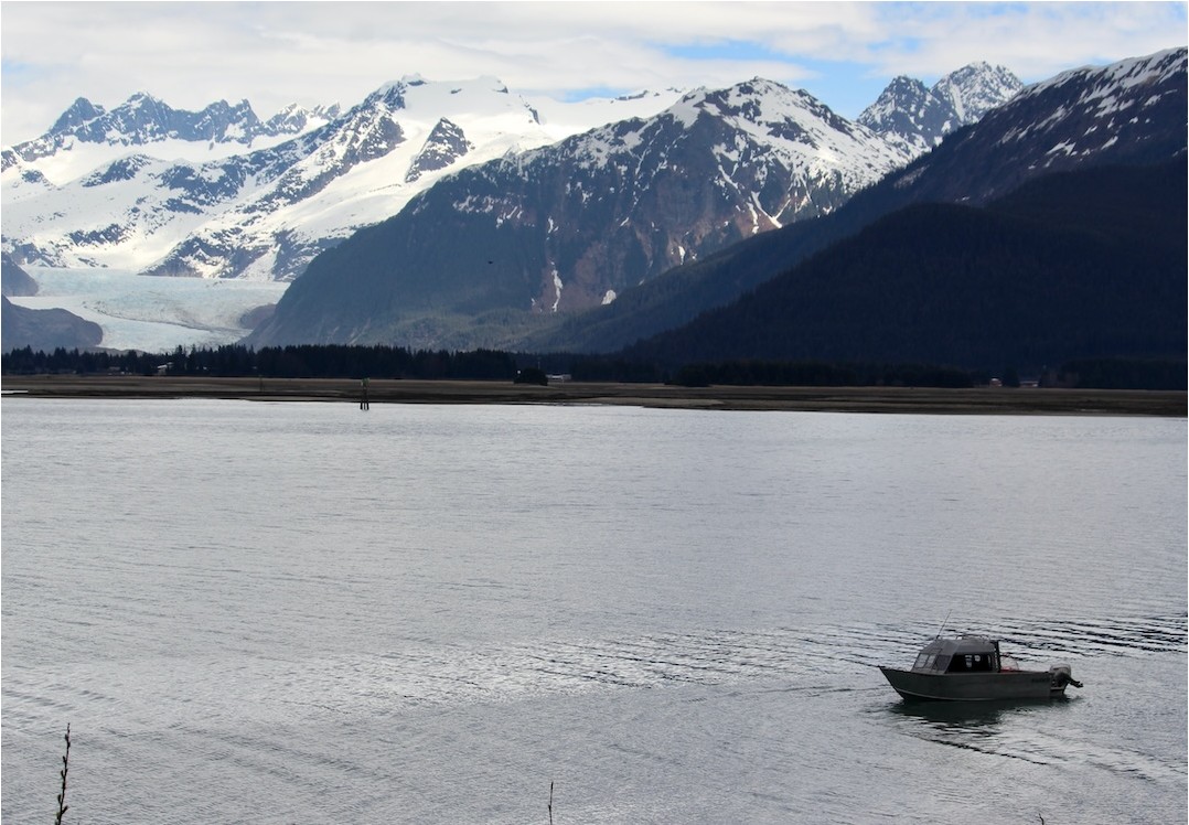 Juneau Mindfulness in the Wilderness Tour | Alaska Shore Excursions
