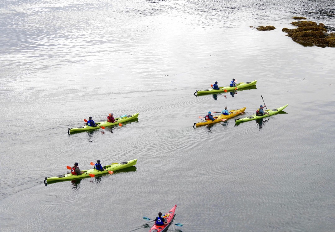 Sitka Island Discovery Kayak Tour | Alaska Shore Excursions