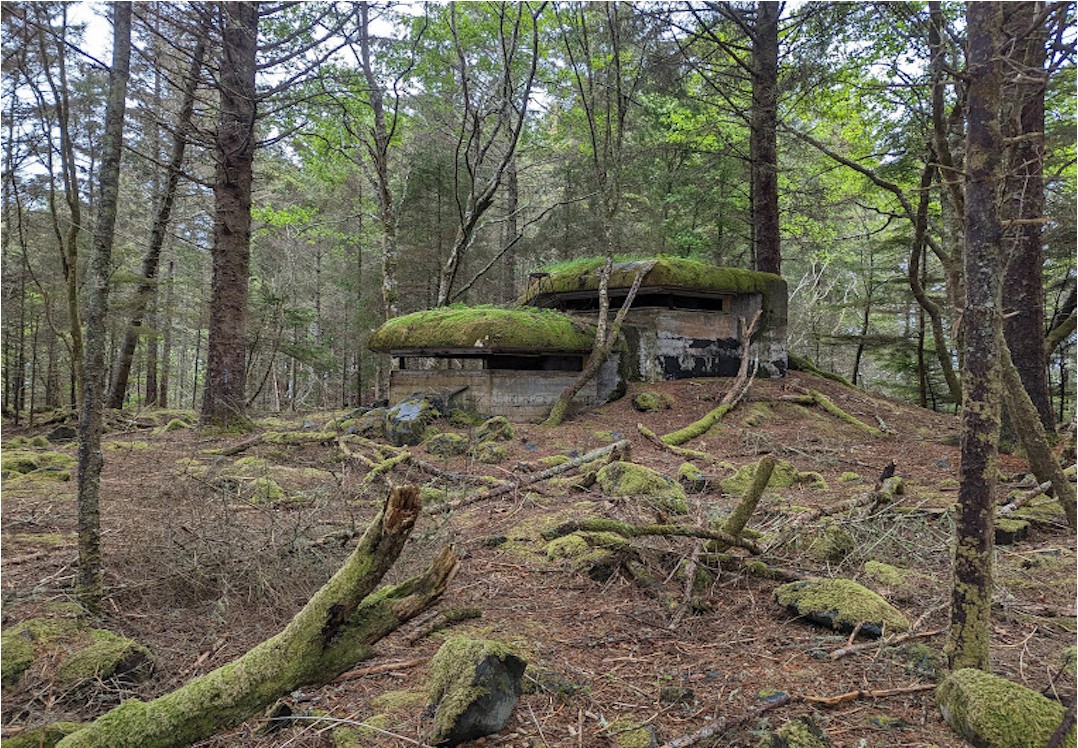 Sitka Wildlife & War Bunkers Kayak Adventure | Alaska Shore Excursions