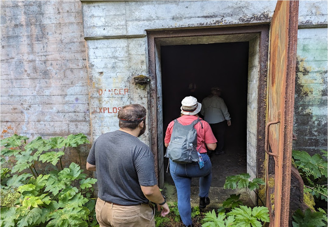 Sitka Wildlife & War Bunkers Kayak Adventure | Alaska Shore Excursions