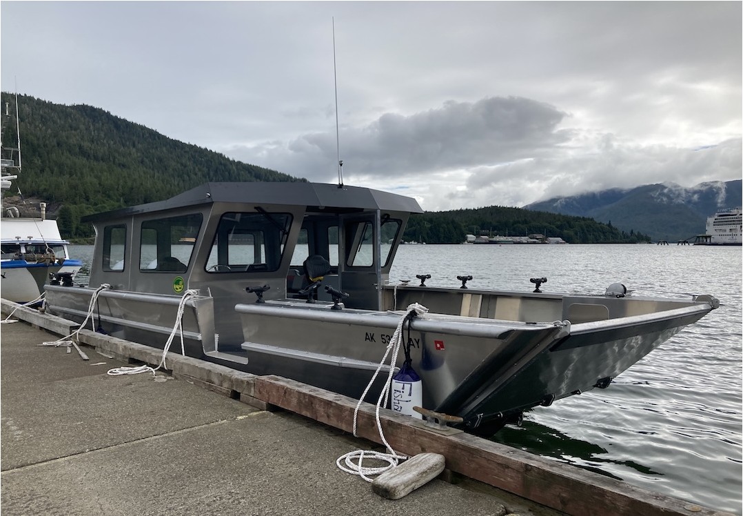 Ketchikan Private Wildlife & Marine Charter | Alaska Shore Excursions