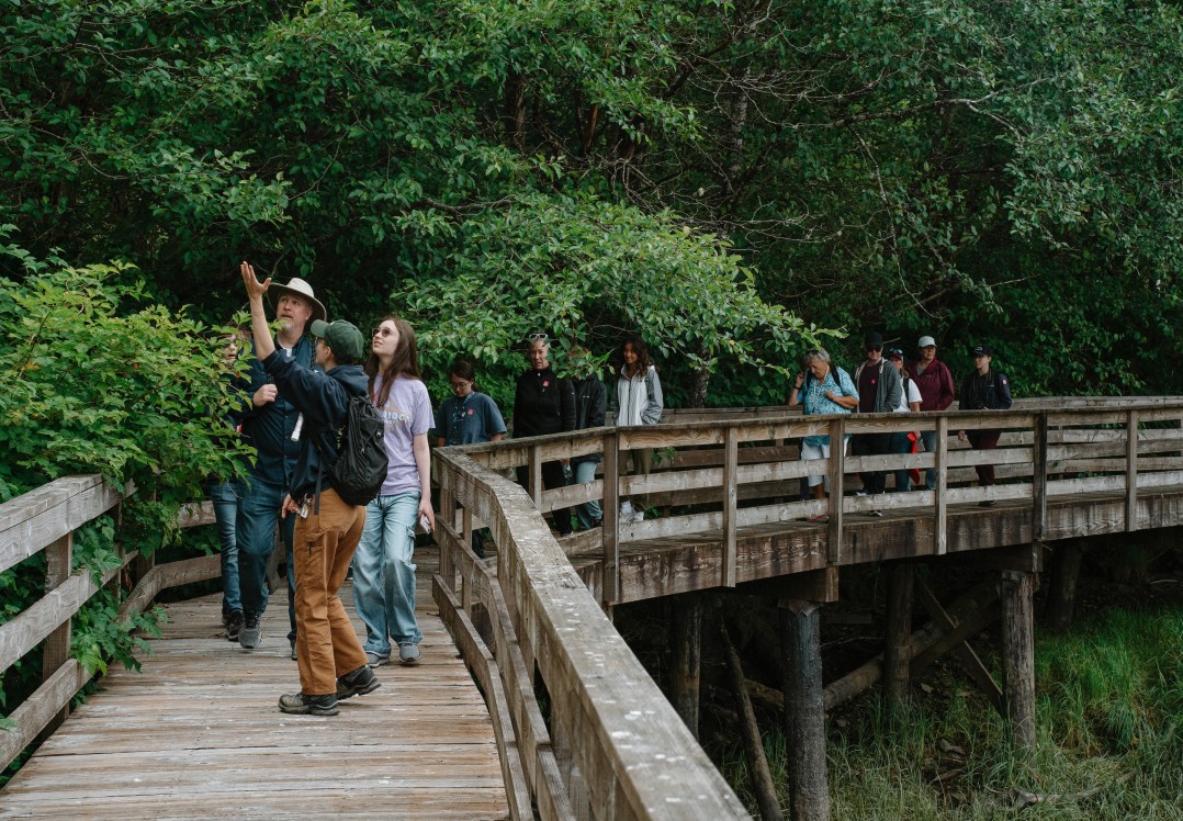 Ketchikan Black Bear Express Tour | Alaska Shore Excursions